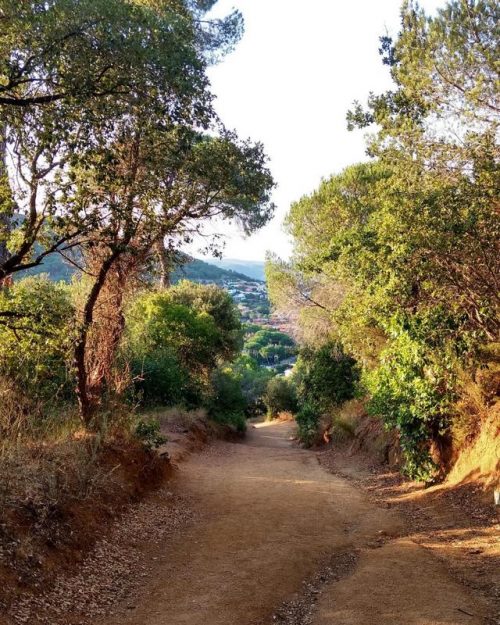 Barcelona travel guide nature - Travel Inspires