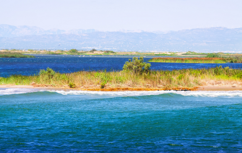 Delta de l'Ebre Natural Park - Travel Inspires