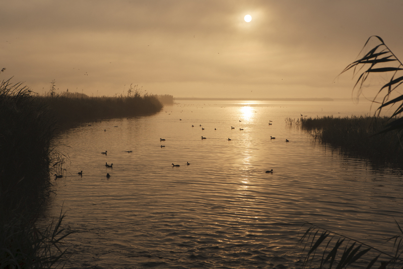 Delta de l'Ebre Natural Park - Travel Inspires