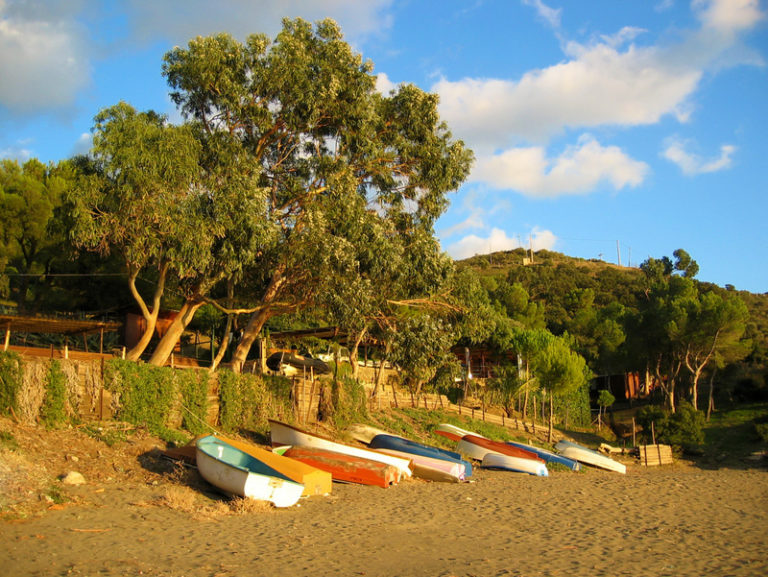 Roses Spain Travel Guide | By An Irish Author Living In Spain