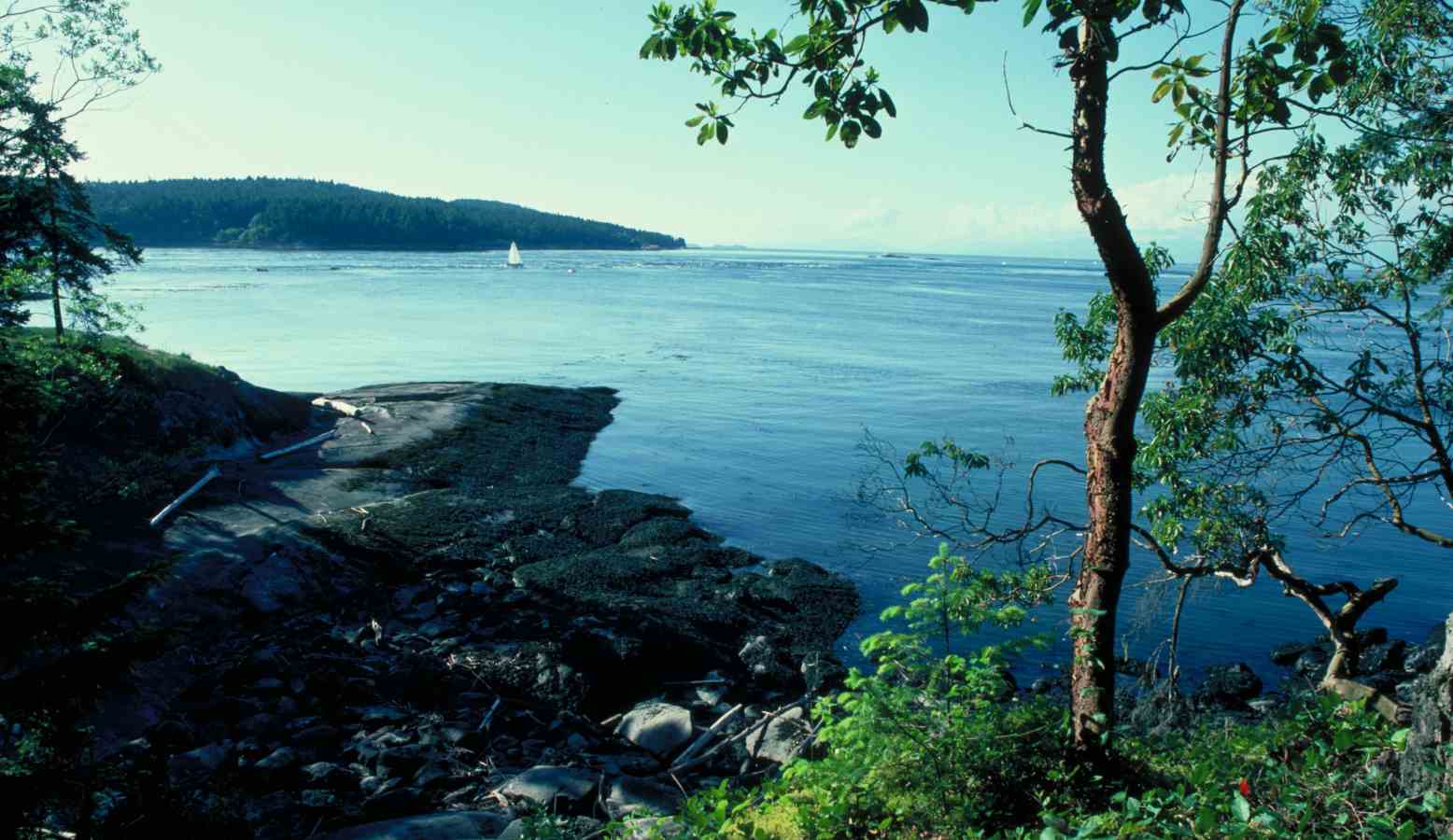 Begur Biodiversity Ses Negres - Travel Inspires